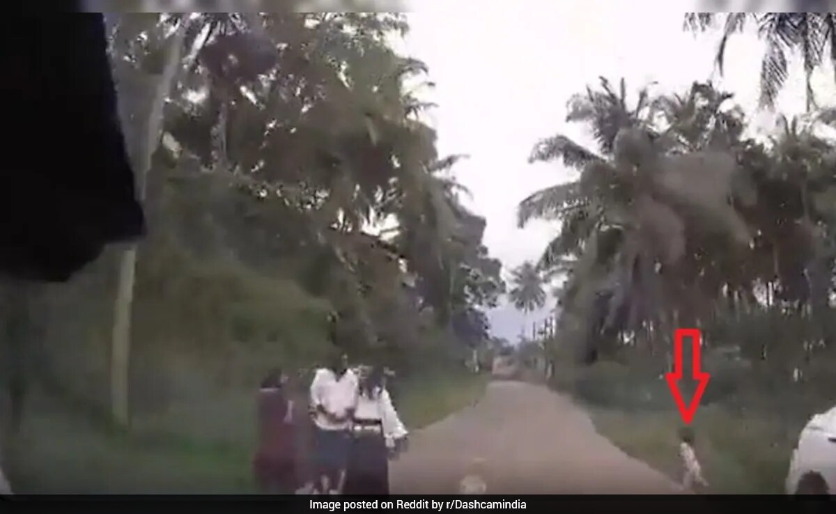 Video Shows Child's Narrow Escape From Speeding Car, Internet Blames Careless Parenting