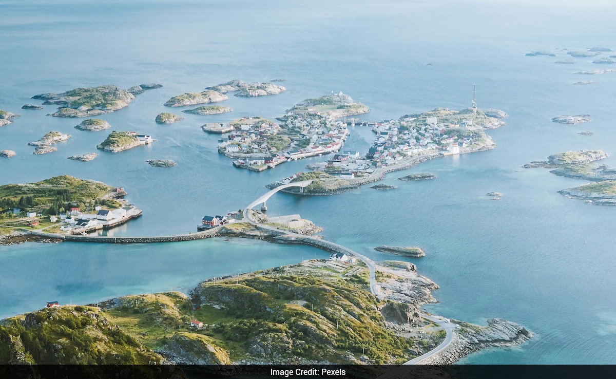 Fossils From The Arctic Reveal Ocean-Dwelling Reptiles Of The Dinosaur Age