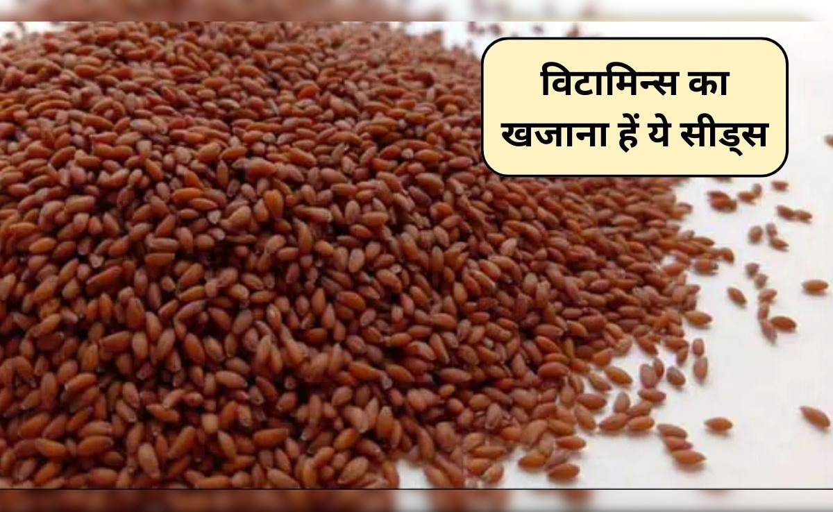 Aliv Seeds Benefits: विटामिन A, C और K का खजाना है ये सीड्स, शरीर को ...