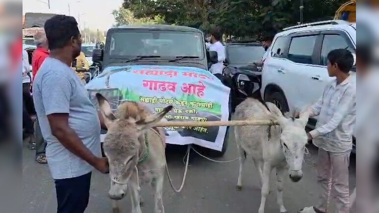 पुणे में अनोखा विरोध; खराब 'थार' SUV को गधों से खिंचवाकर शोरूम ले गया ...