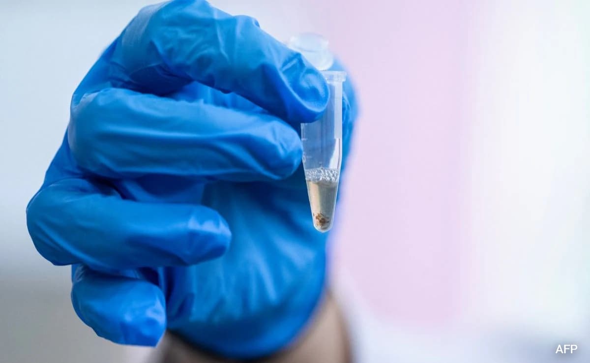 Perfect Forensic Tool: How Scientists Use Bed Bugs To Bust Crime