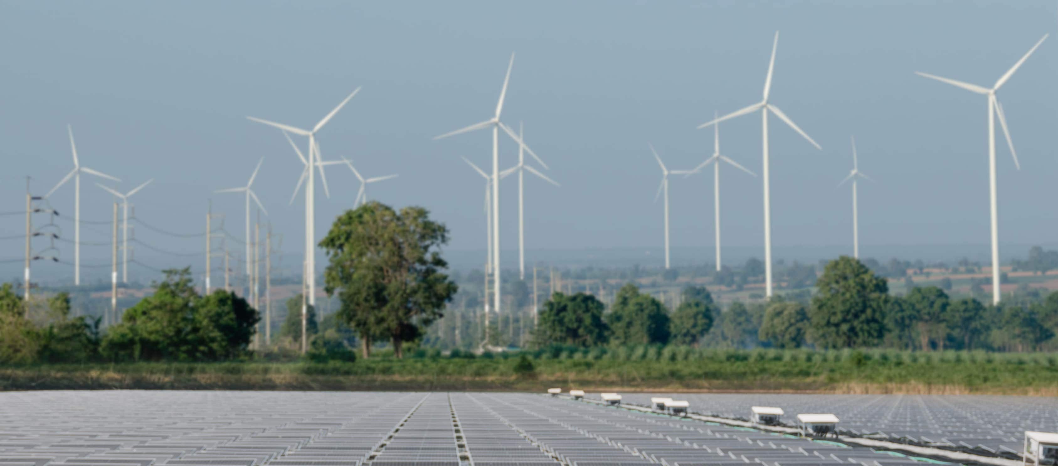 Renewable Energy Capacity Added Consistently In 2024, Says HSBC Global