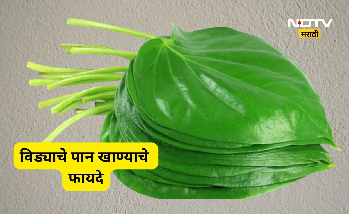 Health Benefits of Betel Leaves Sanskrit Name and Medicinal Uses of Paan