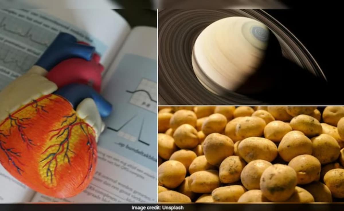 2025 की 15 सबसे हैरान कर देने वाली वैज्ञानिक घटनाएं, जिन्होंने पूरी ...