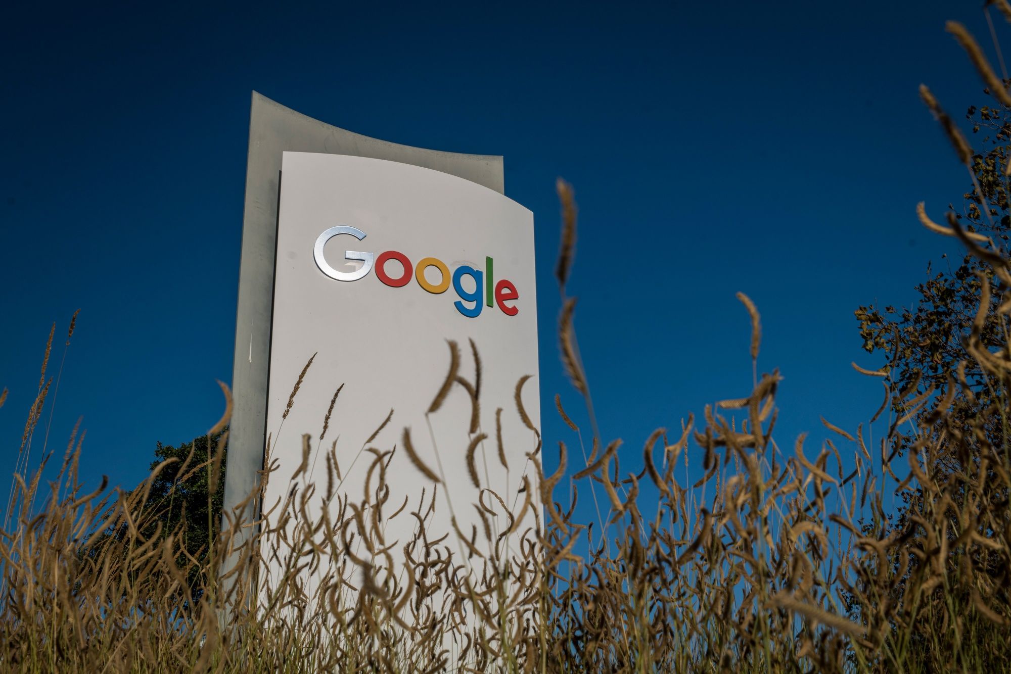 Google Owner Alphabet Has Too Many Employees, TCI Says