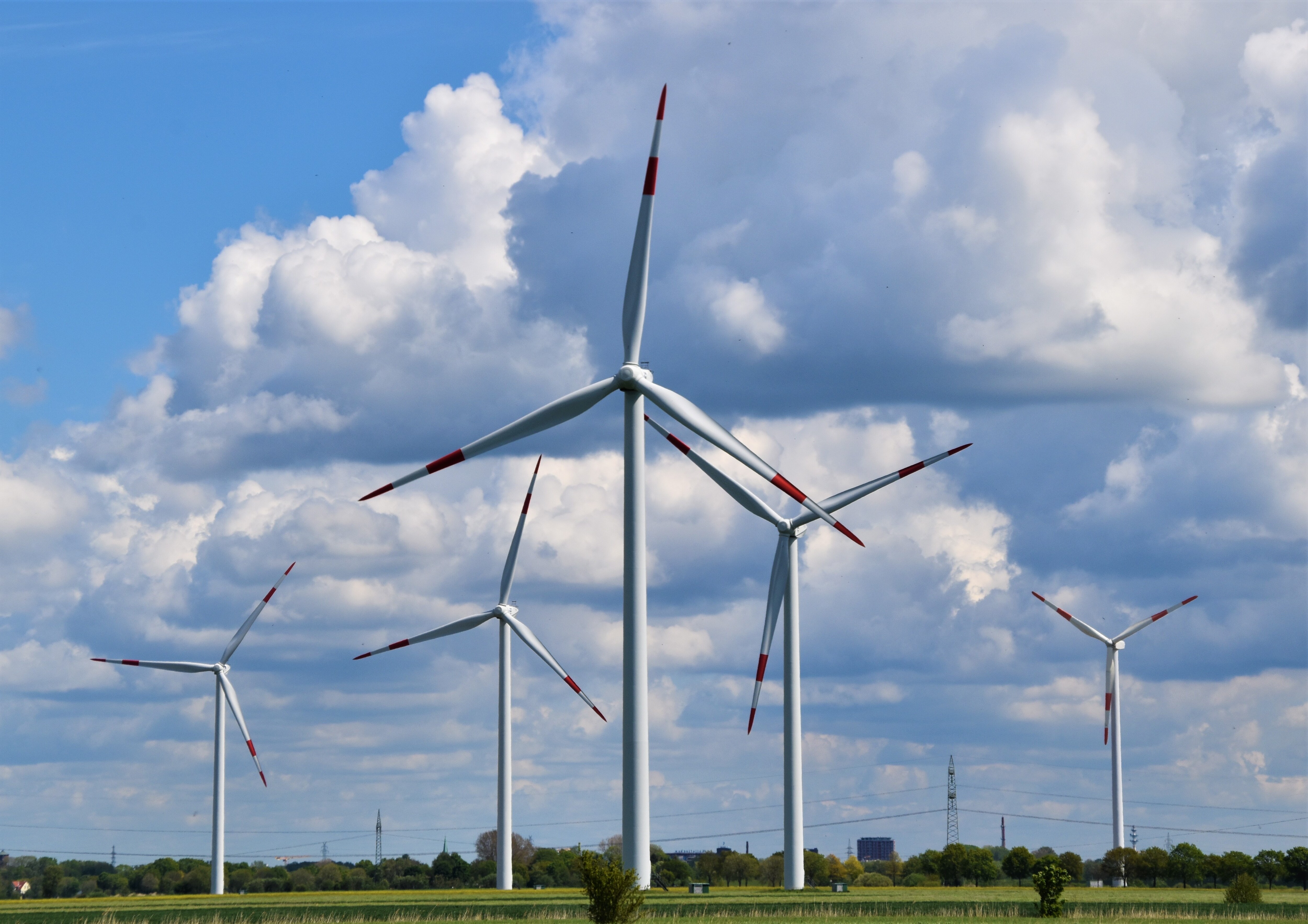 JSW Renew Energy Commissions 51 MW Wind Energy Capacity In Tamil Nadu