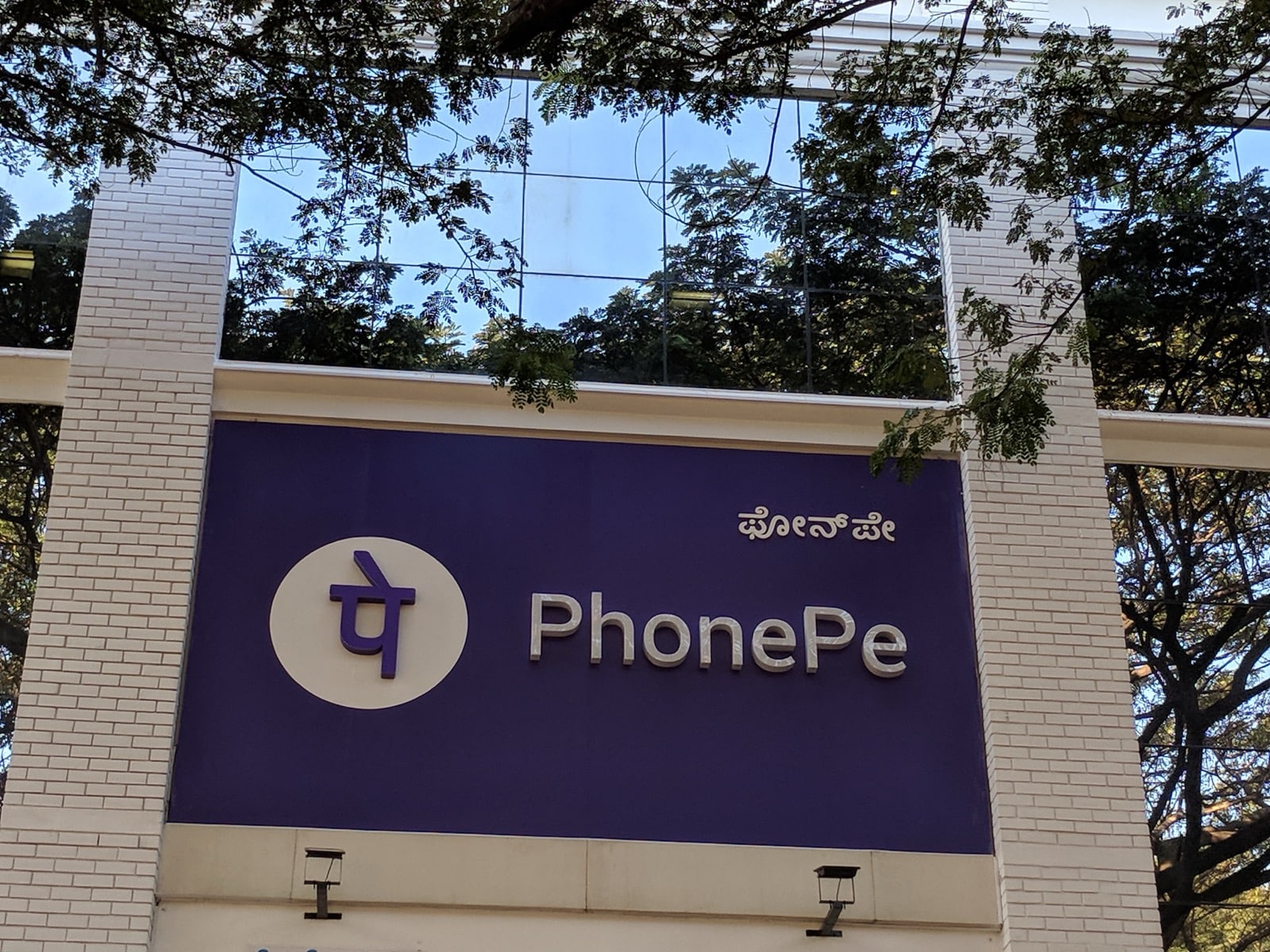 PhonePe Reaches 60 Crore Users Amidst IPO Preparations And Celebrates ...