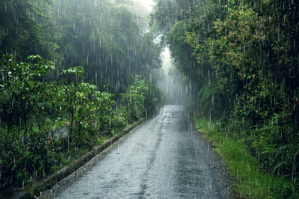Matheran Receives Highest Rainfall In India On July 24; Check List Of ...