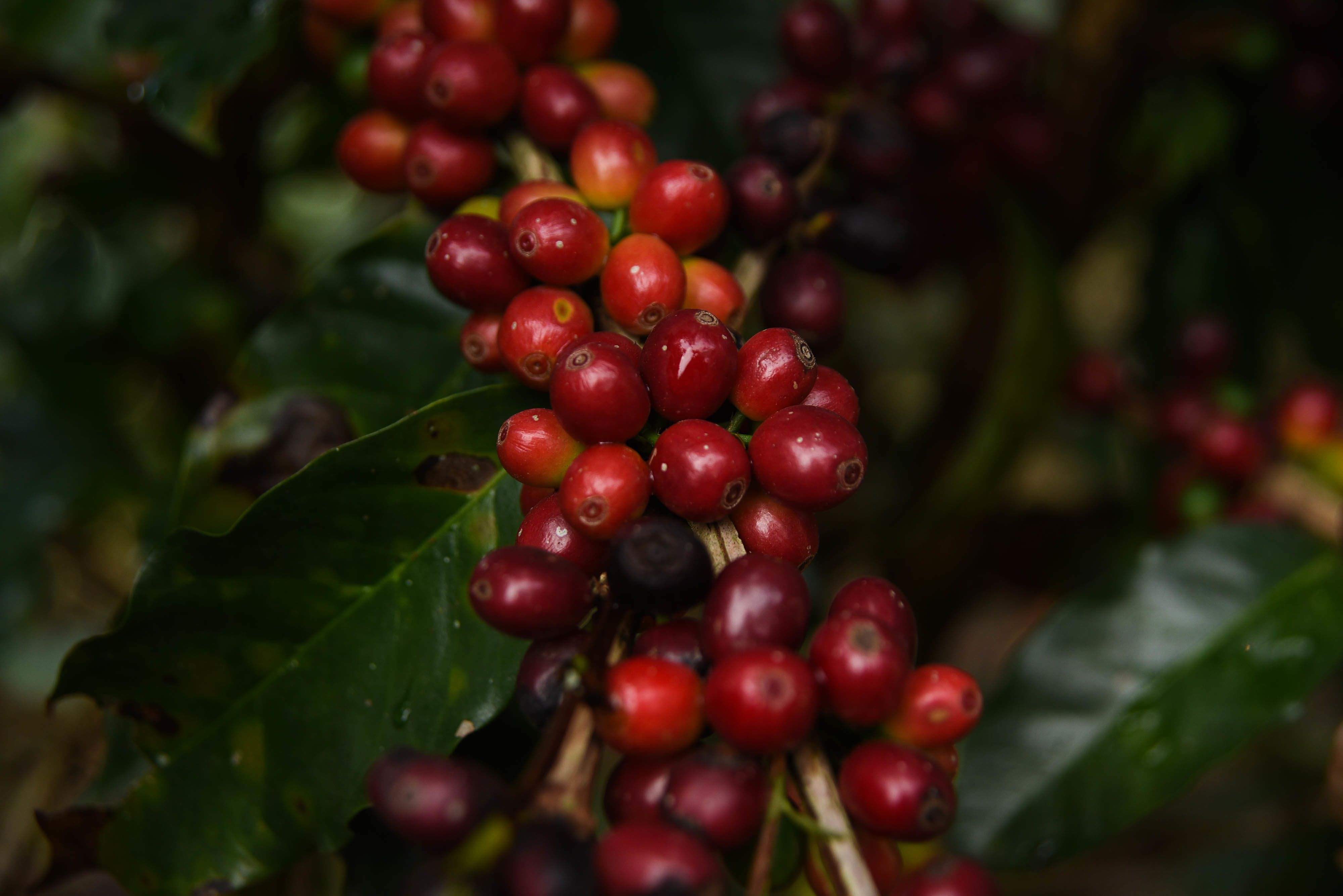 Stock Market Today: All You Need To Know Going Into Trade On April 28