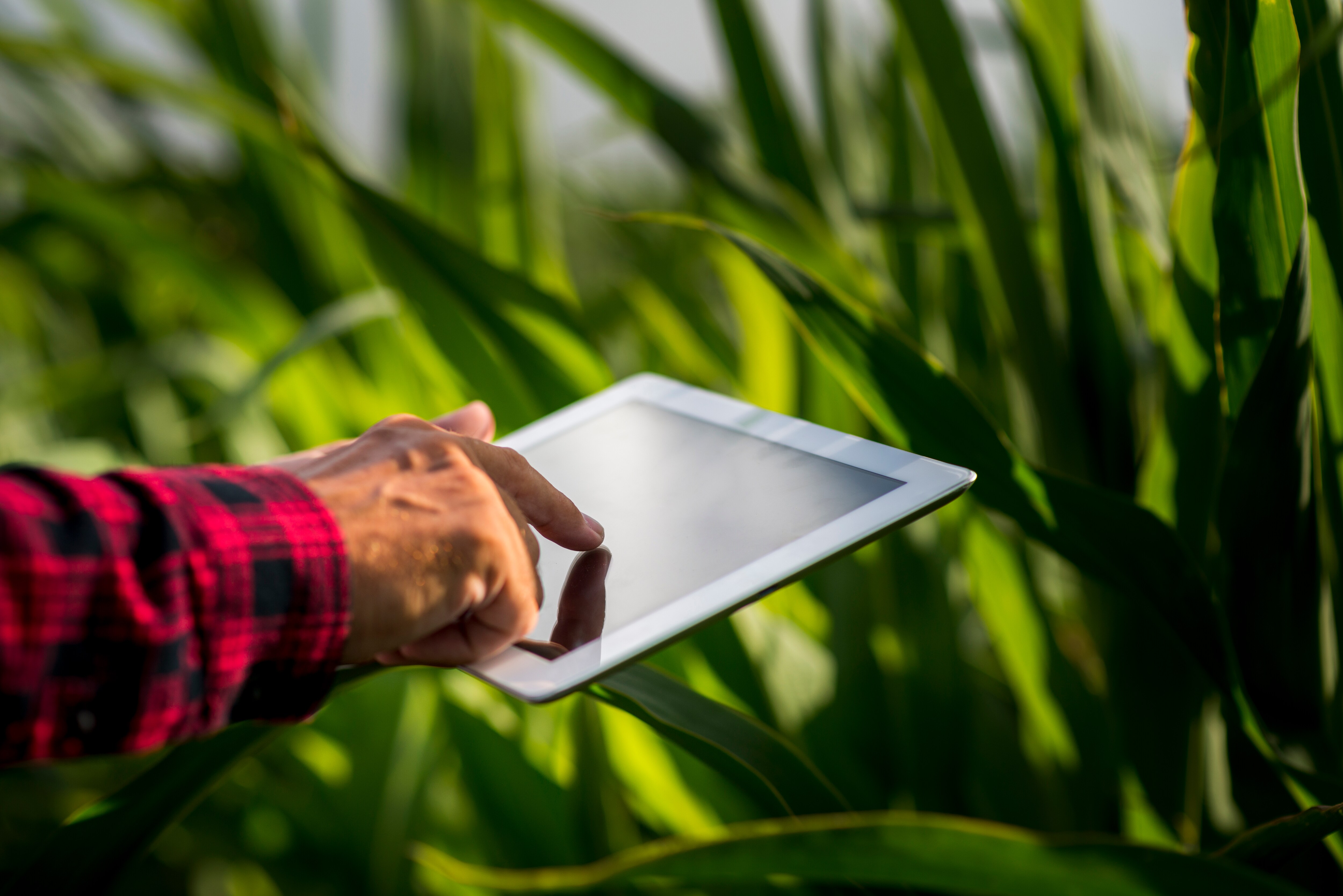 Agritech Firm Ecozen Raises $30 Million From Nuveen, Others