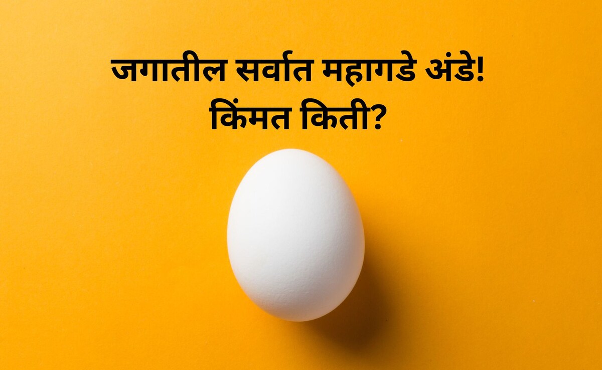 Worlds Most Expensive egg Winter Egg Sold At Auction For More Than 30 ...