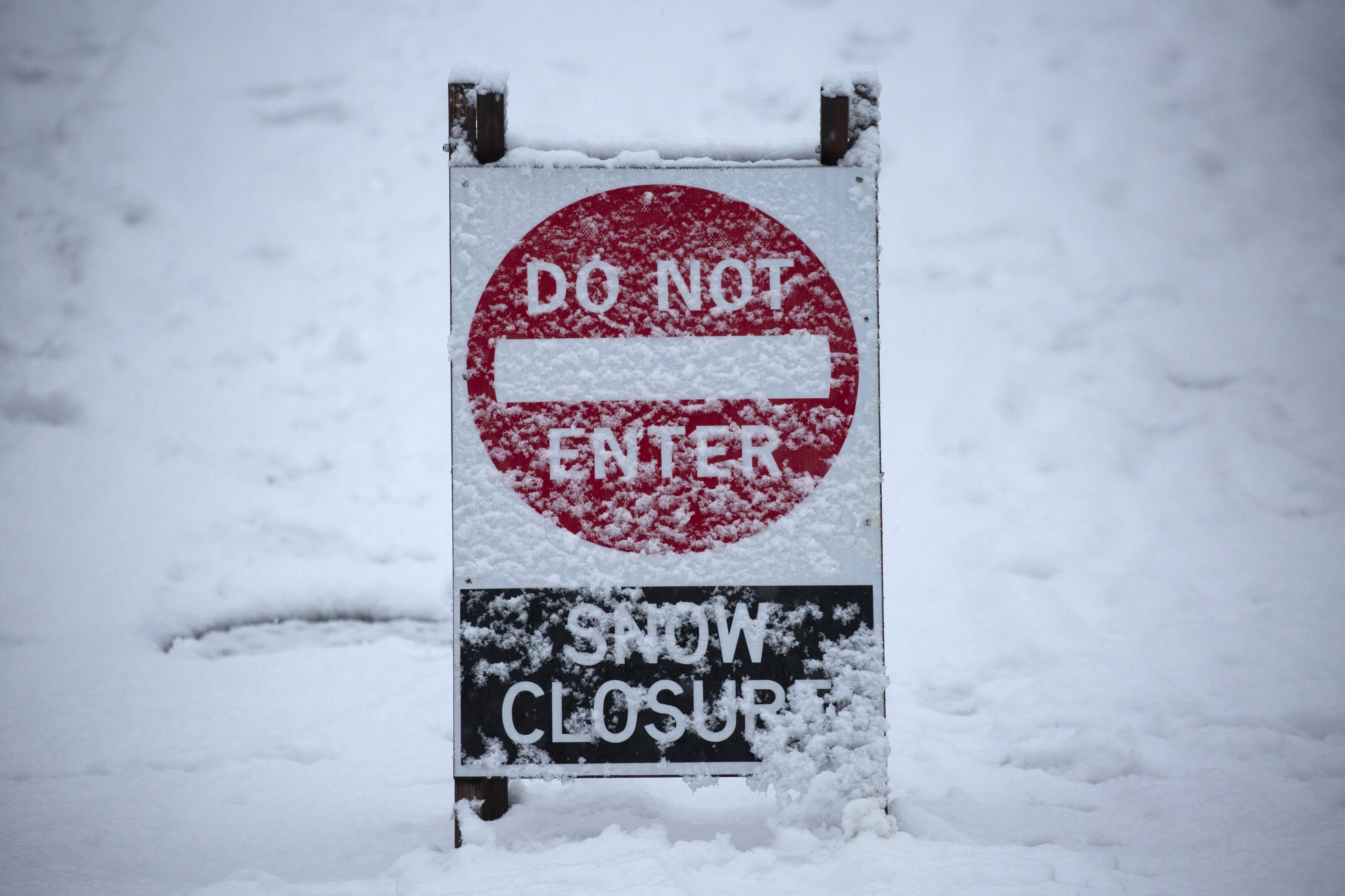 Scientists Revive 48,500-Year-Old ‘Zombie Virus’ Buried in Ice