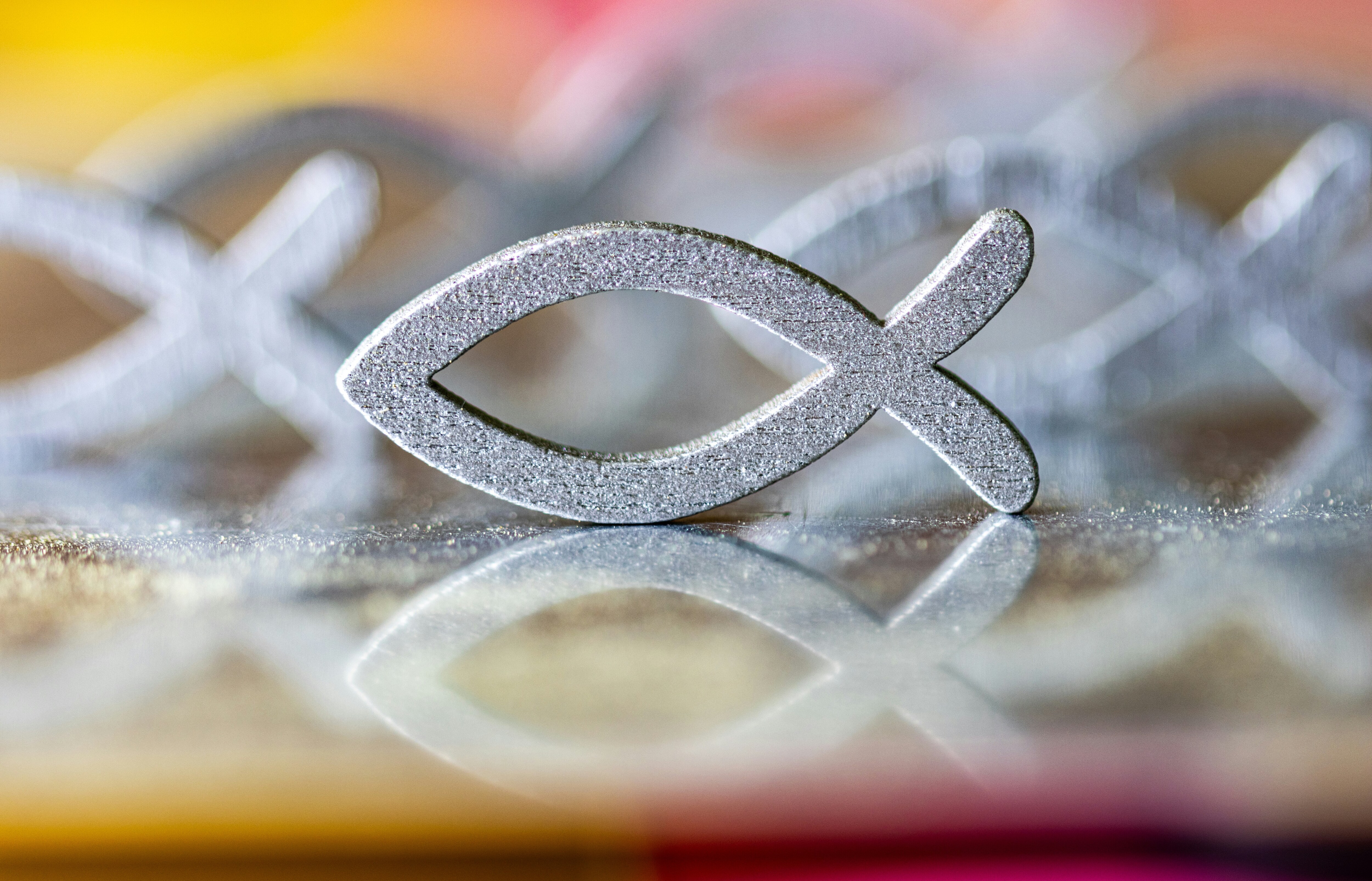 India Voices Concerns Over Surge In Silver, Platinum, And Dry Dates ...