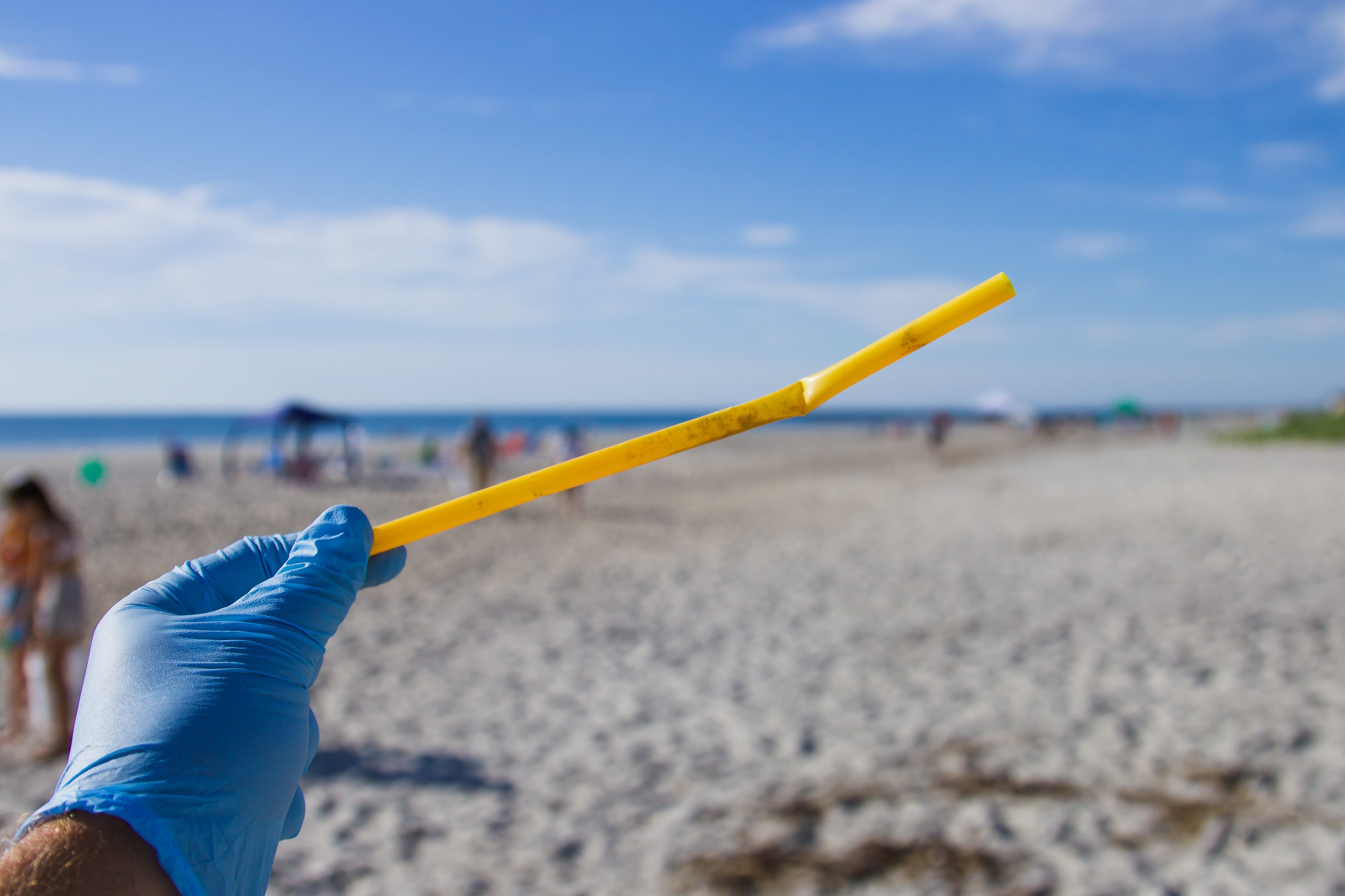 Scientists Develop Completely Biodegradable Paper Straws