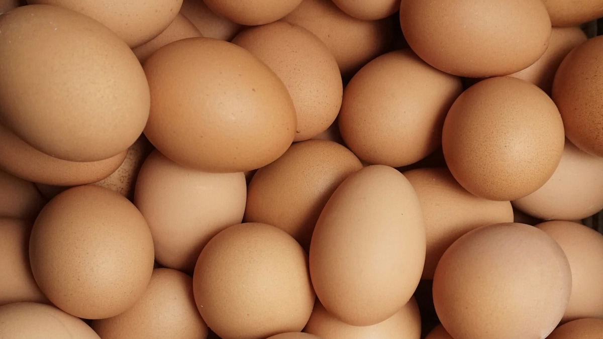 Food Authority Orders Nationwide Testing Of Eggs For Banned Antibiotics ...