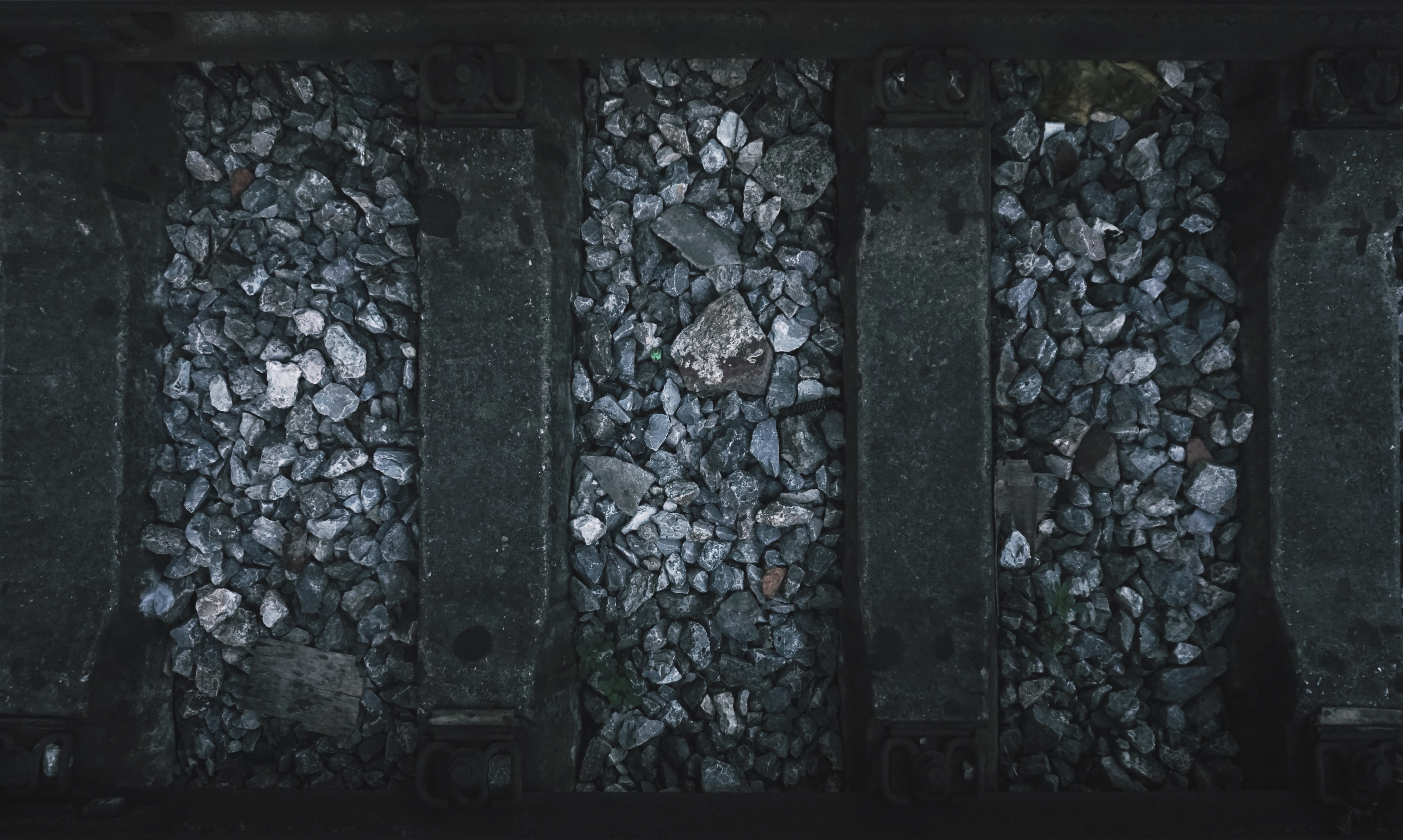 Coal India Q3 Results Review - Decent Quarter, E-auction Premiums ...