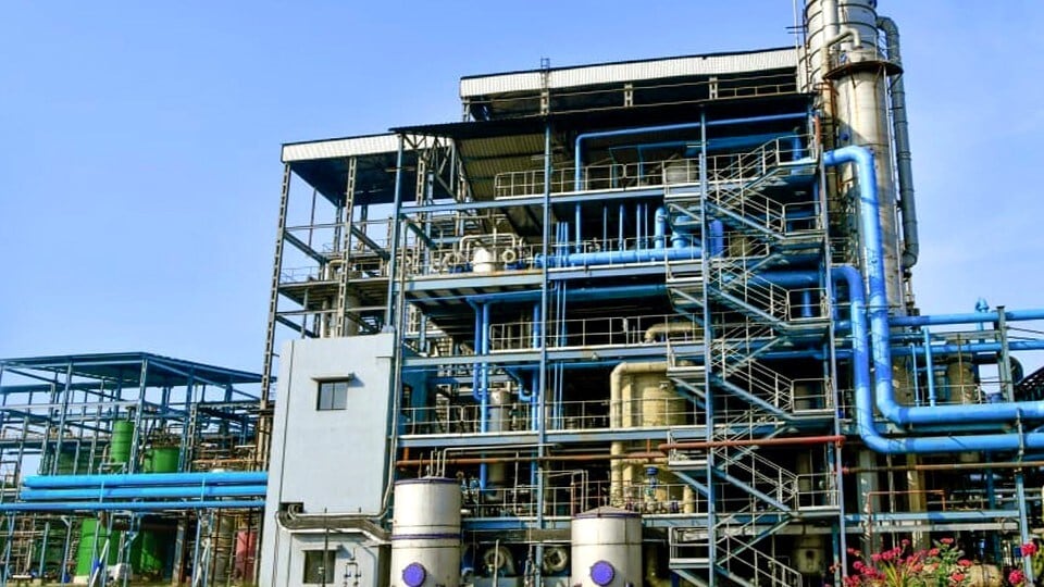 Madhuri Kela Acquires ₹17 Crore Stake in Godavari Biorefineries ...