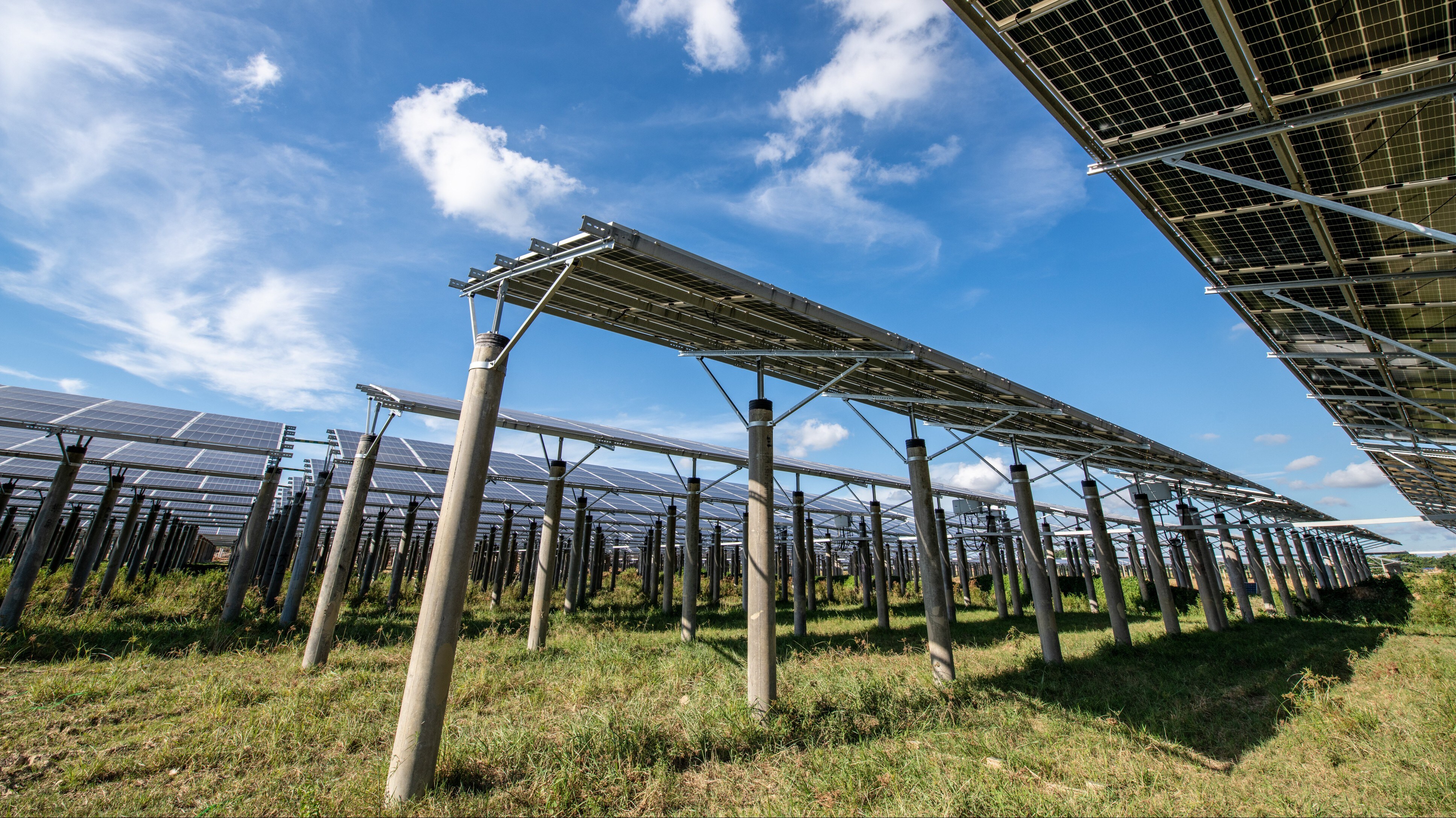 Cyient DLM Partners With Arcedo To Set Up 500 kWp Solar Plant In Mysore