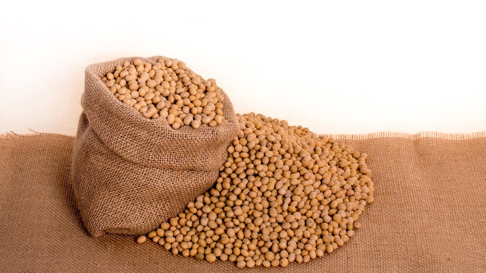India Scraps Soy Export Deals for First Time In 5 Years, Pivots To ...