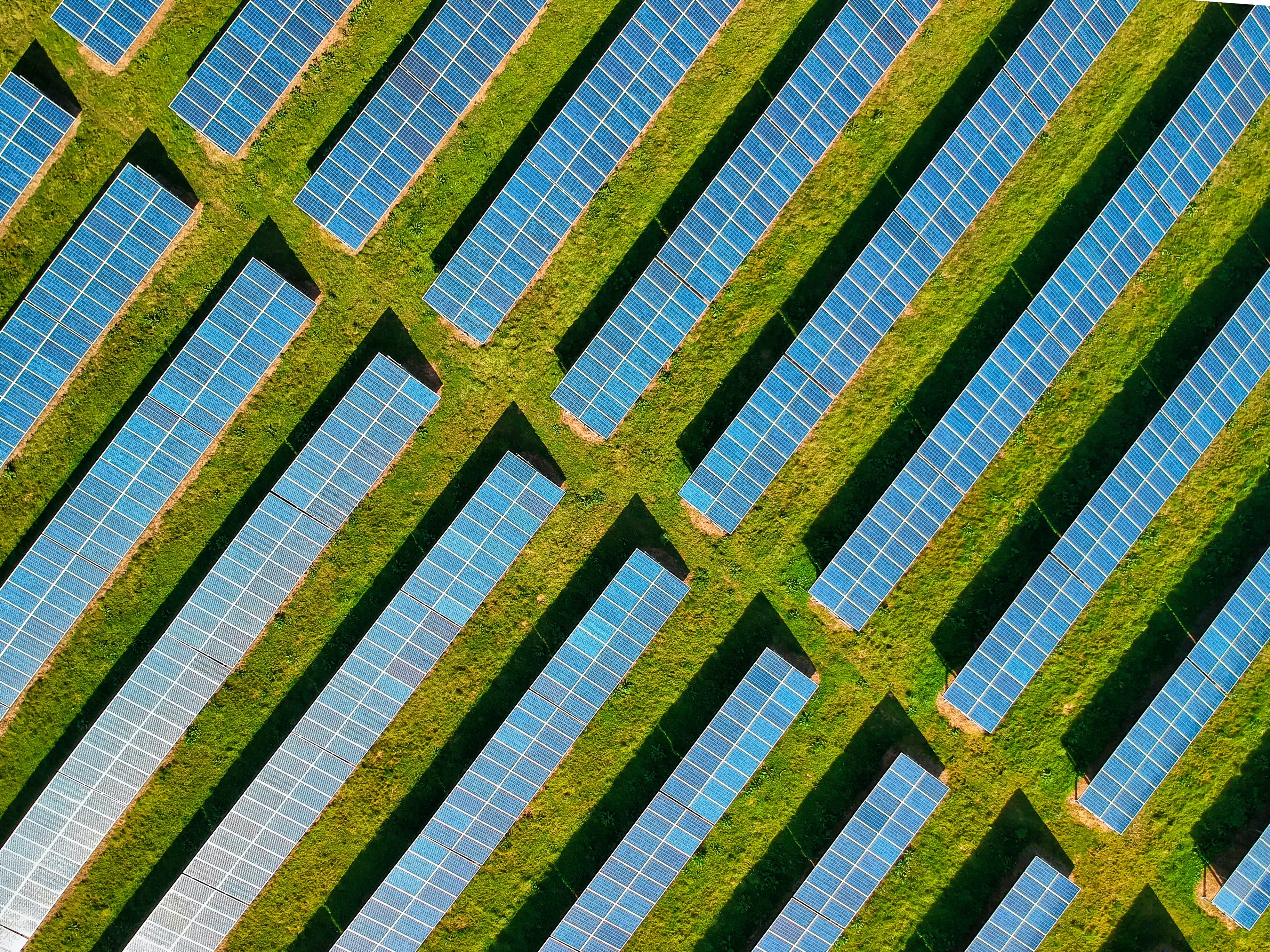 Avaada Energy, Al Jomaih Energy And Water Partner To Develop Green ...