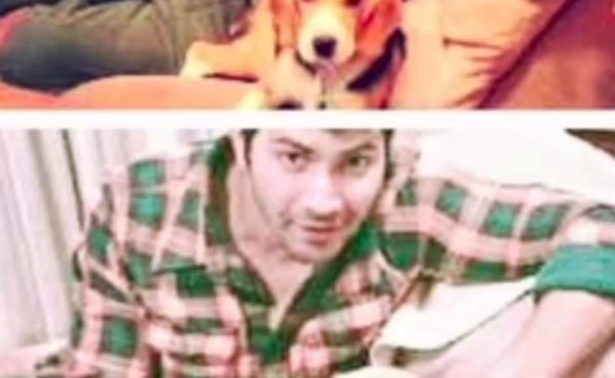 Varun Dhawan's Pet Dog Angel Dies, Actor Shares Emotional Note: "We ...