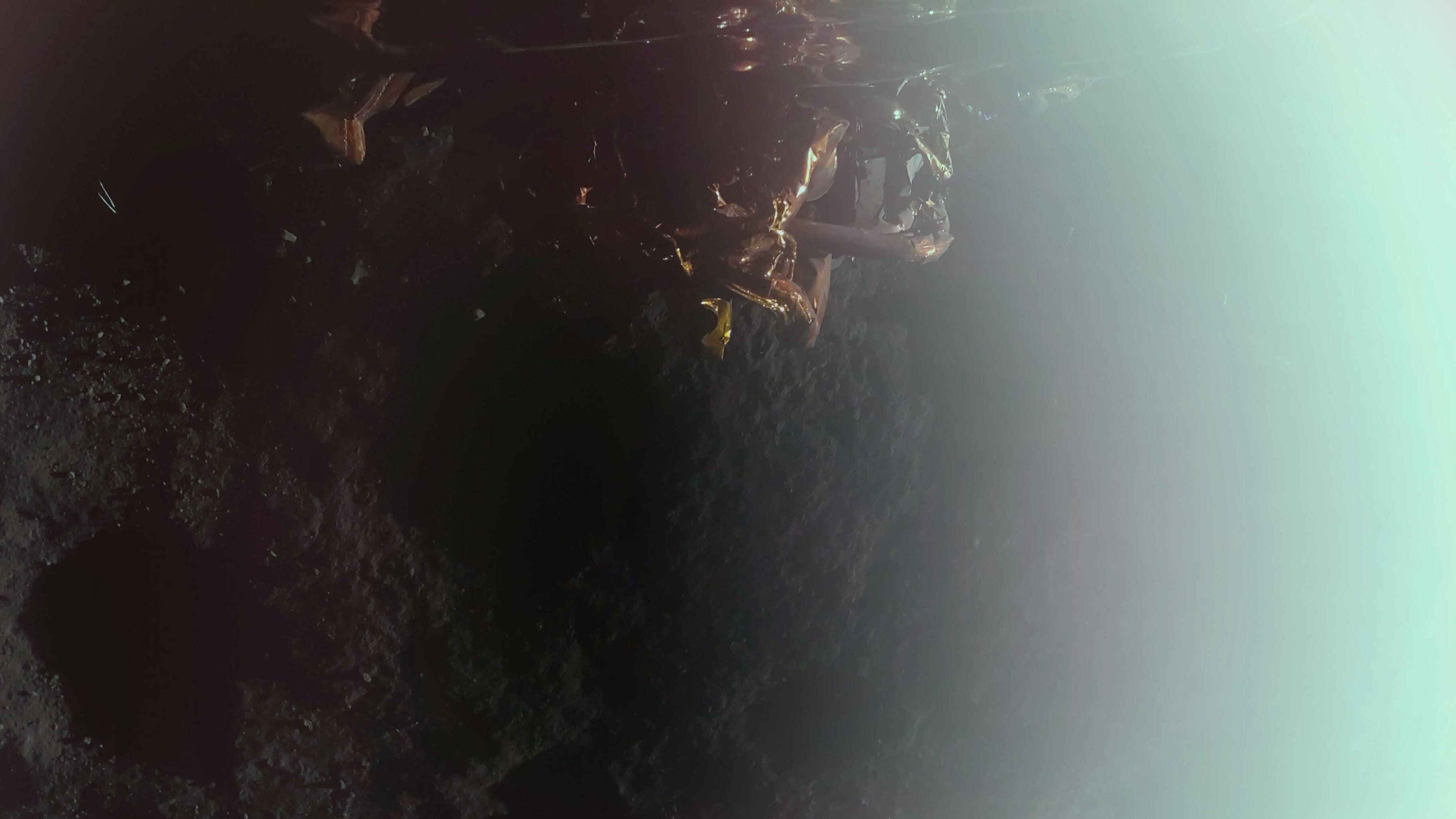 Texas Startup Successfully Lands Spacecraft On Moon Surface