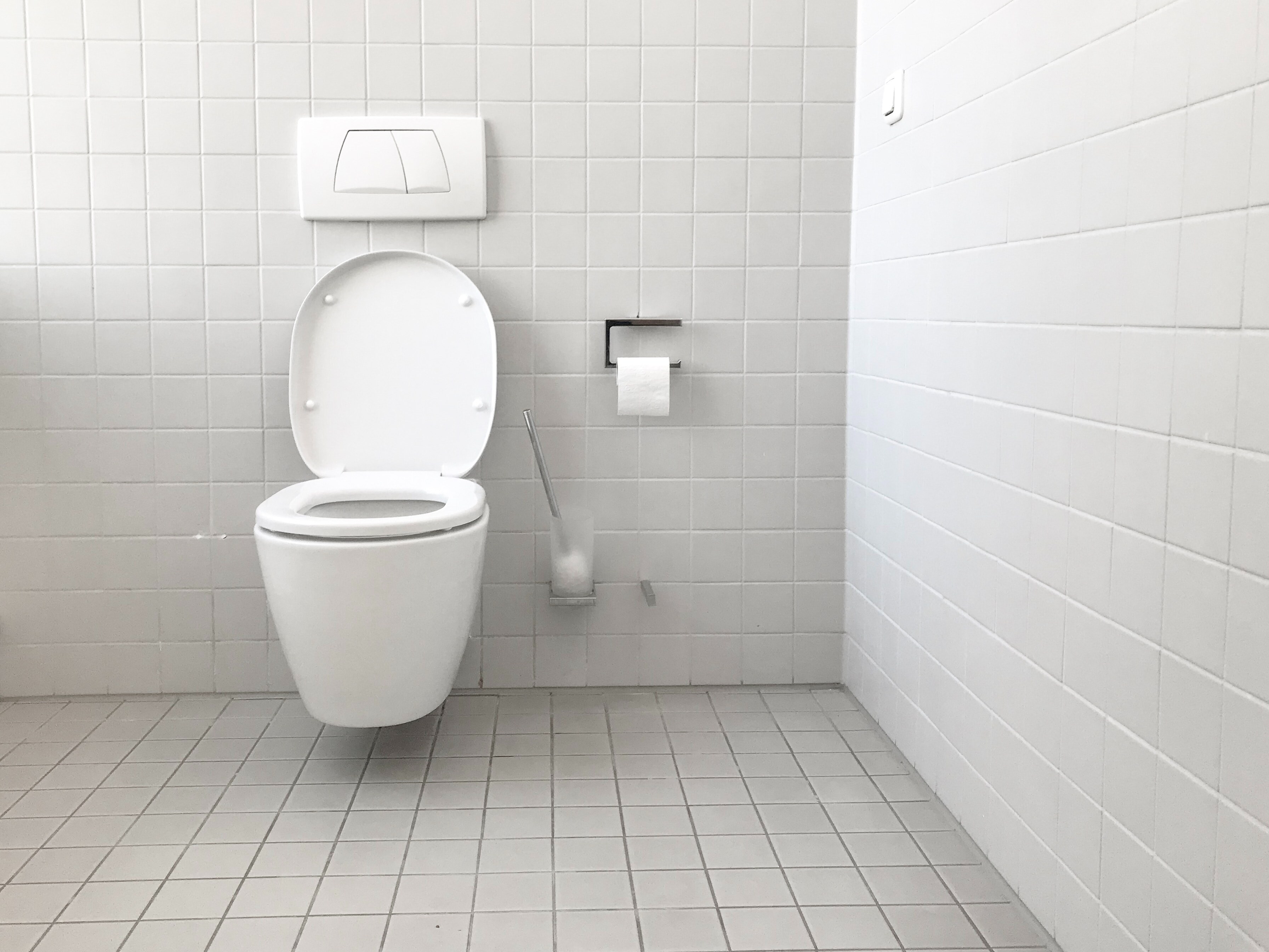World Toilet Day: Date, Theme, History, Significance And All You Need ...