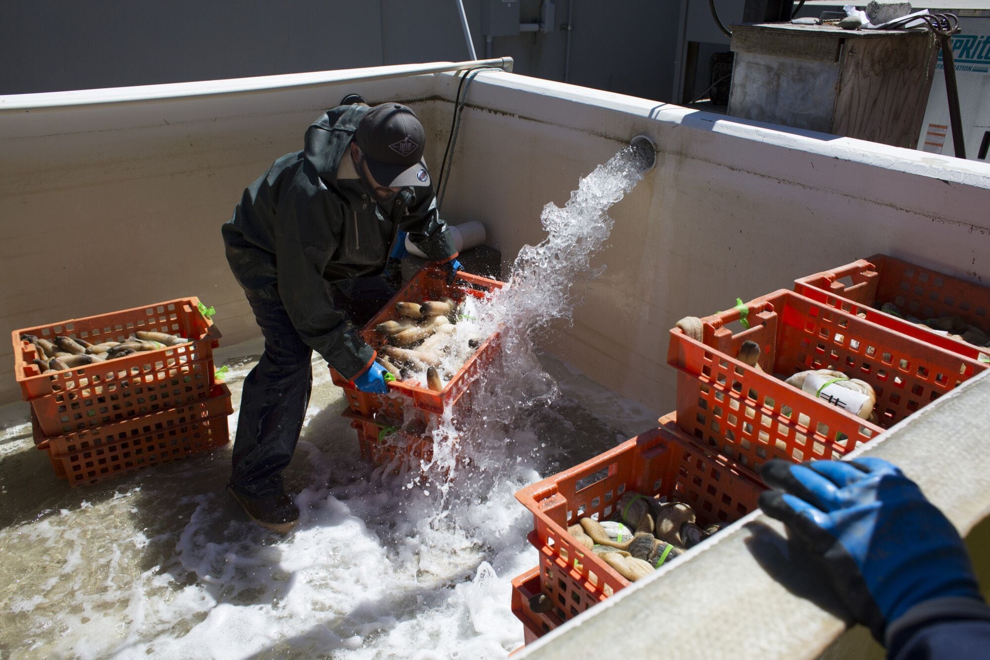 US Job Gains and Wages Pick Up, Signaling Labor Resilience