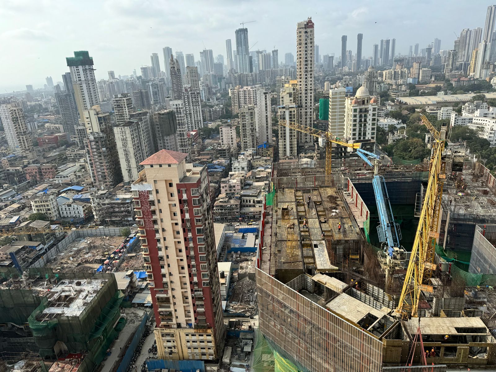 Anant Raj Riding Wave Of India's Digital Transformation, Says Motilal ...