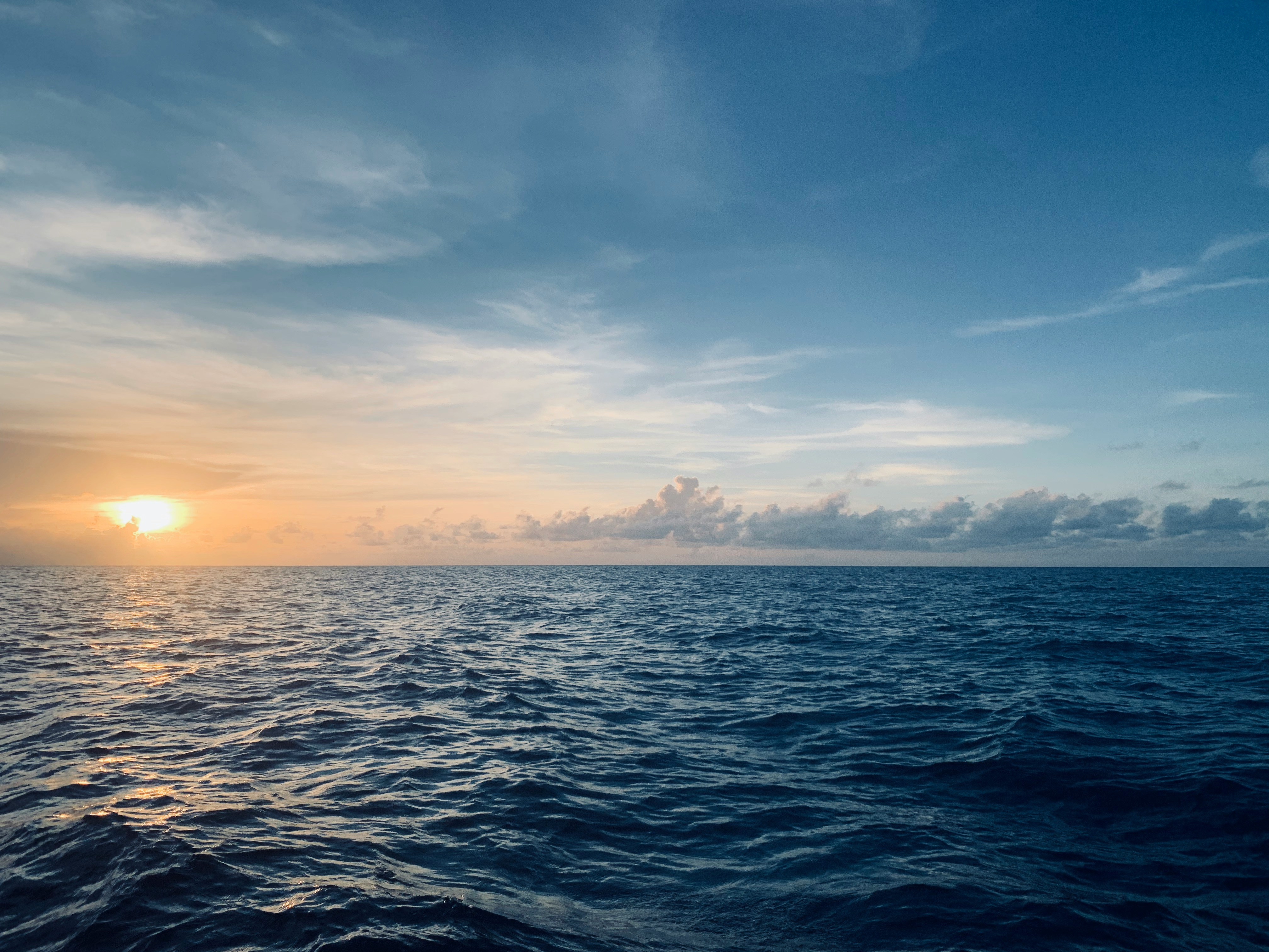 Indian Ocean Sea Surface Temperatures May Aid In Global Dengue Outbreak ...