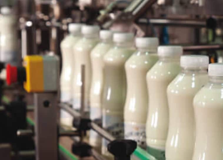 PM Modi Hails Growth In Milk Production In Last 8 Years