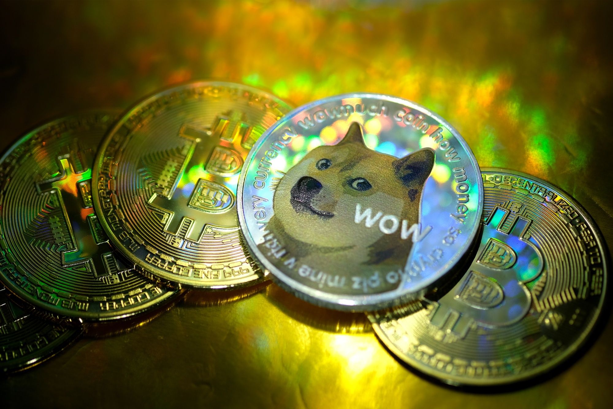 Dogecoin Price Soars After Twitter's Logo Changes To Doge Meme