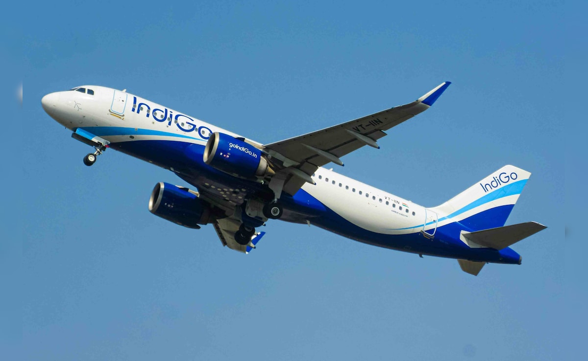 The IndiGo Story: How A Low-Cost Airline Became The Biggest Owner Of ...