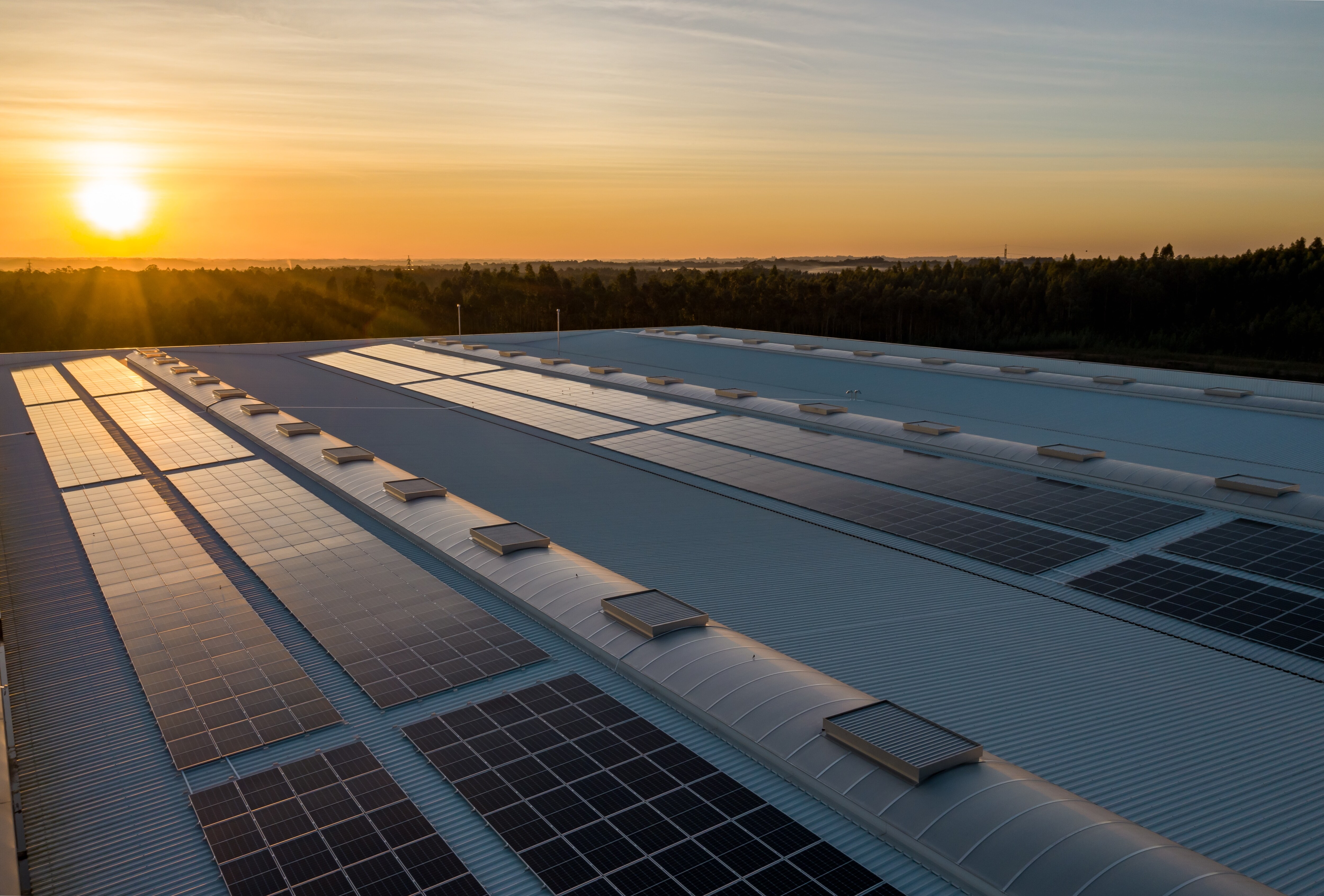 Waaree Energies Supplies 850 MW Solar Modules For Projects In U.S.