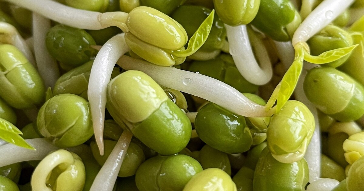 Health Benefits Of Eating Sprouts Every Night