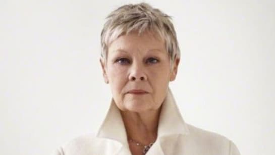 judi dench pixie cut