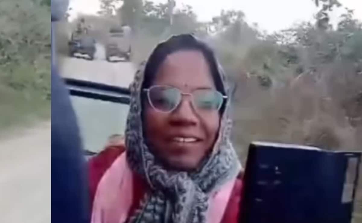 पन्ना टाइगर रिजर्व: अचानक दो बाघों के बीच फंसी कलेक्टर की जिप्सी, फिर ...