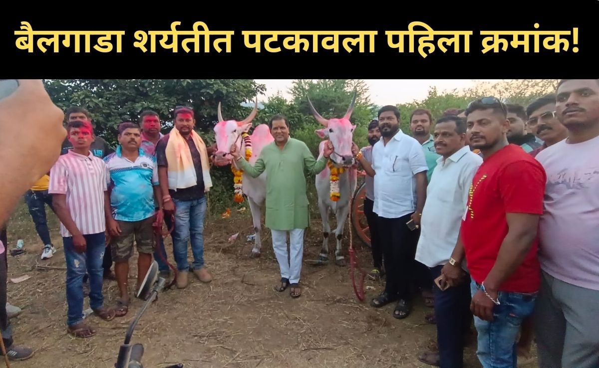 who wins the first prize in alibaug chikhali bull race 2025 famous ox ...