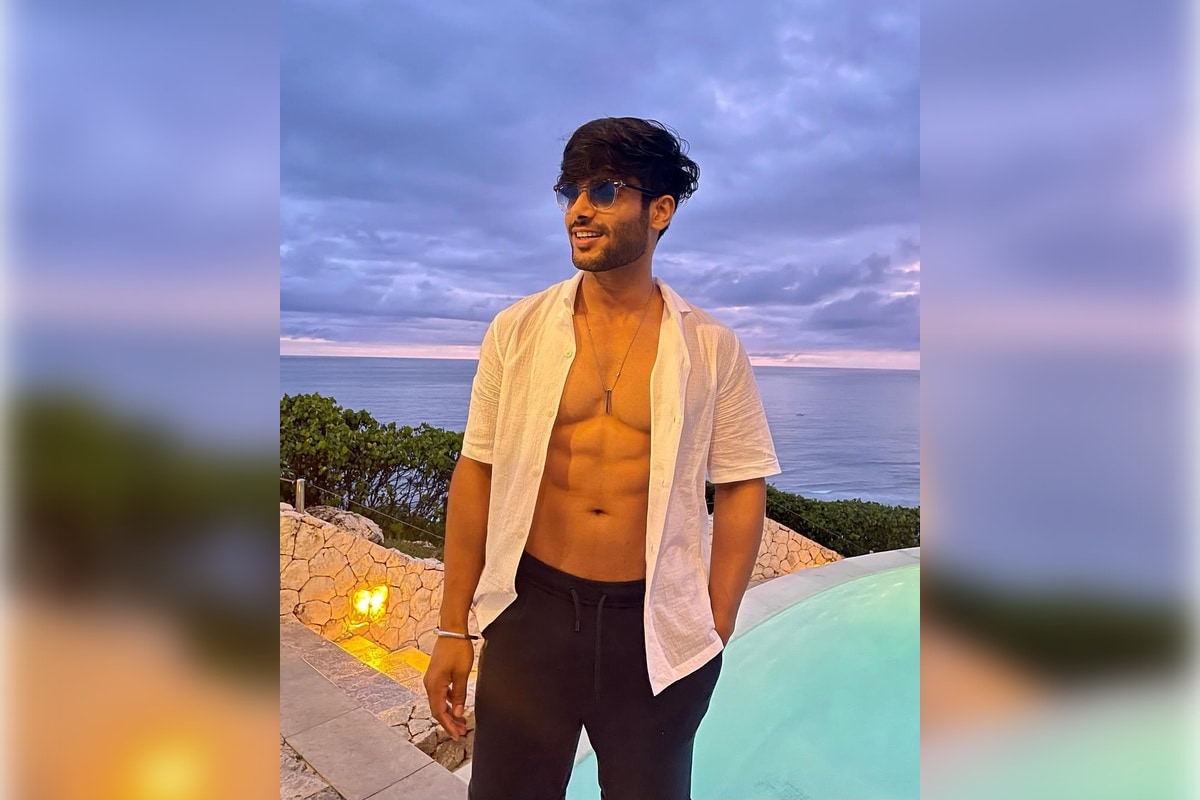 Best Vegetarian Meal Prep for Muscle Gain: Chickpea Curry, Paneer and ...