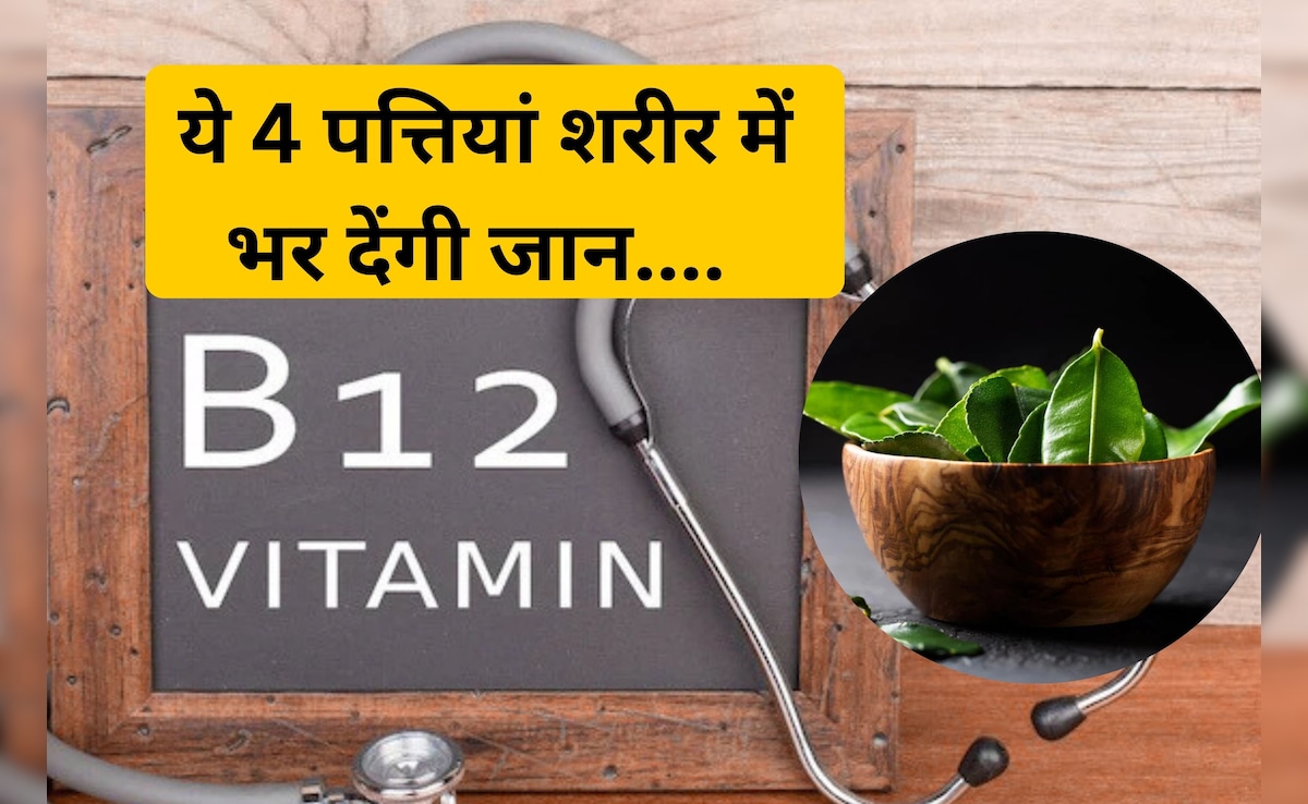 Vitamin b12 की कमी ये 4 पत्तियां कर देंगी पूरी, शरीर में कूट-कूटकर भर ...