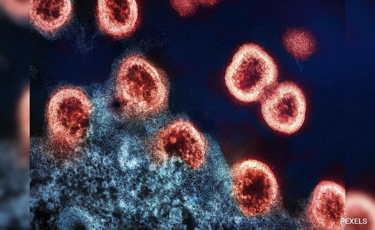 German Man Is 2nd Ever To Beat HIV Without Using HIV-Resistant Stem Cells