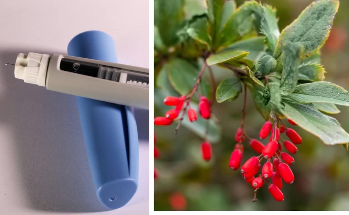 Berberine Is Going Viral As Nature's Ozempic For Weight Loss. Experts ...