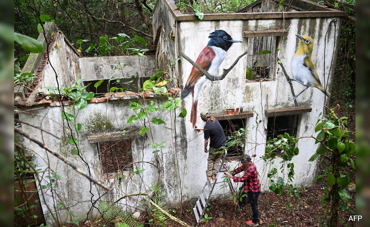 Murals Of Native, Migratory Birds Transform Forgotten Corners Of Hong Kong