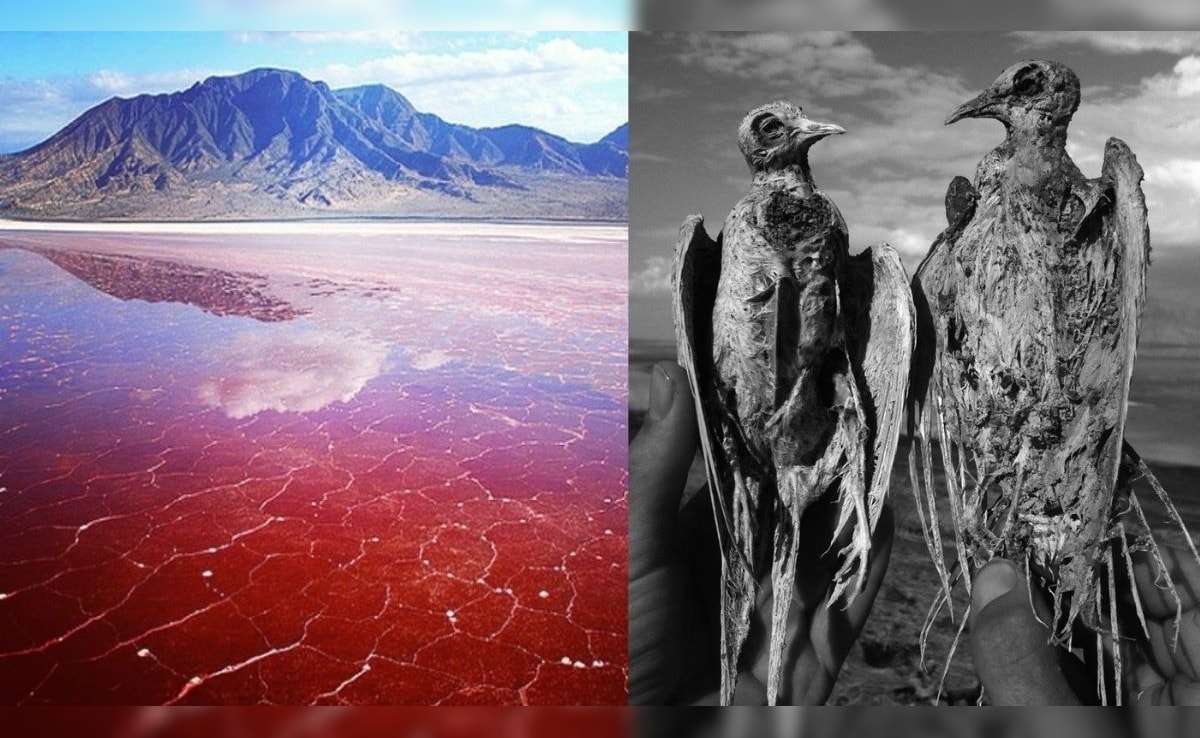 lake natron