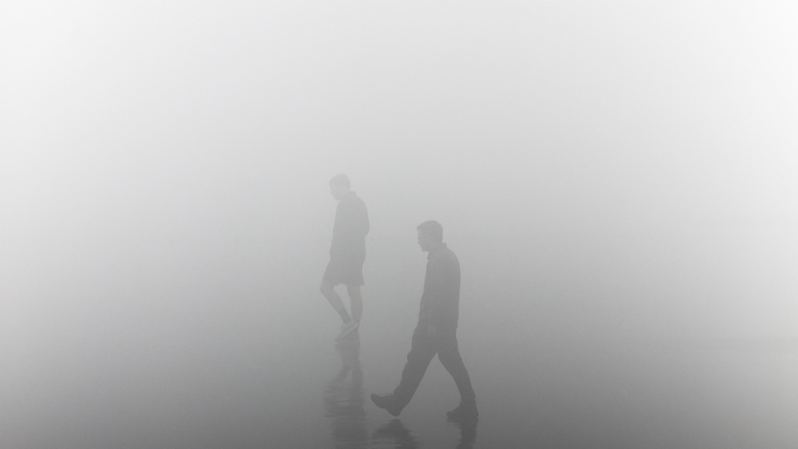 Moderate To Dense Fog In Parts Of Delhi, Train Services Hit