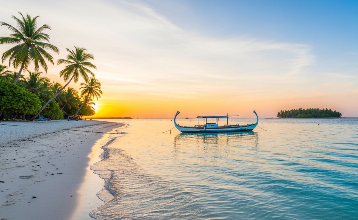 Where Is 'The Coconut Island' In India? How To Reach, What To Do There