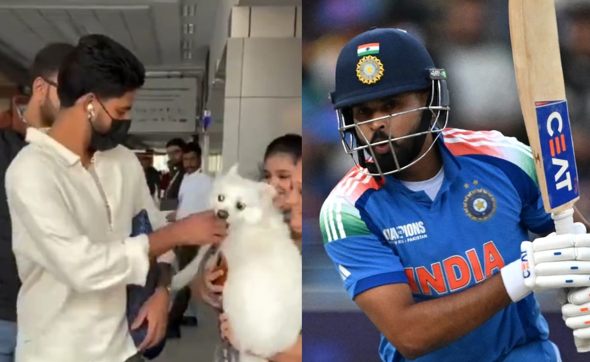 Shreyas Iyer Almost Bitten By A Fan's Dog, Narrowly Escapes Ahead Of ...