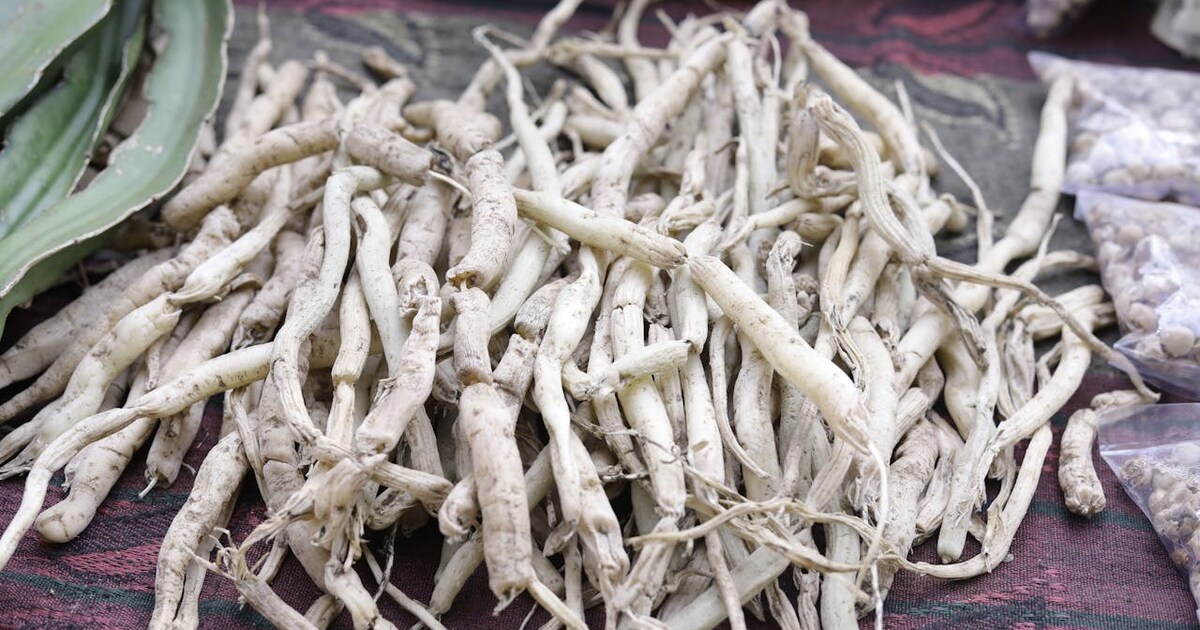 Amazing Health Benefits Of Safed Musli