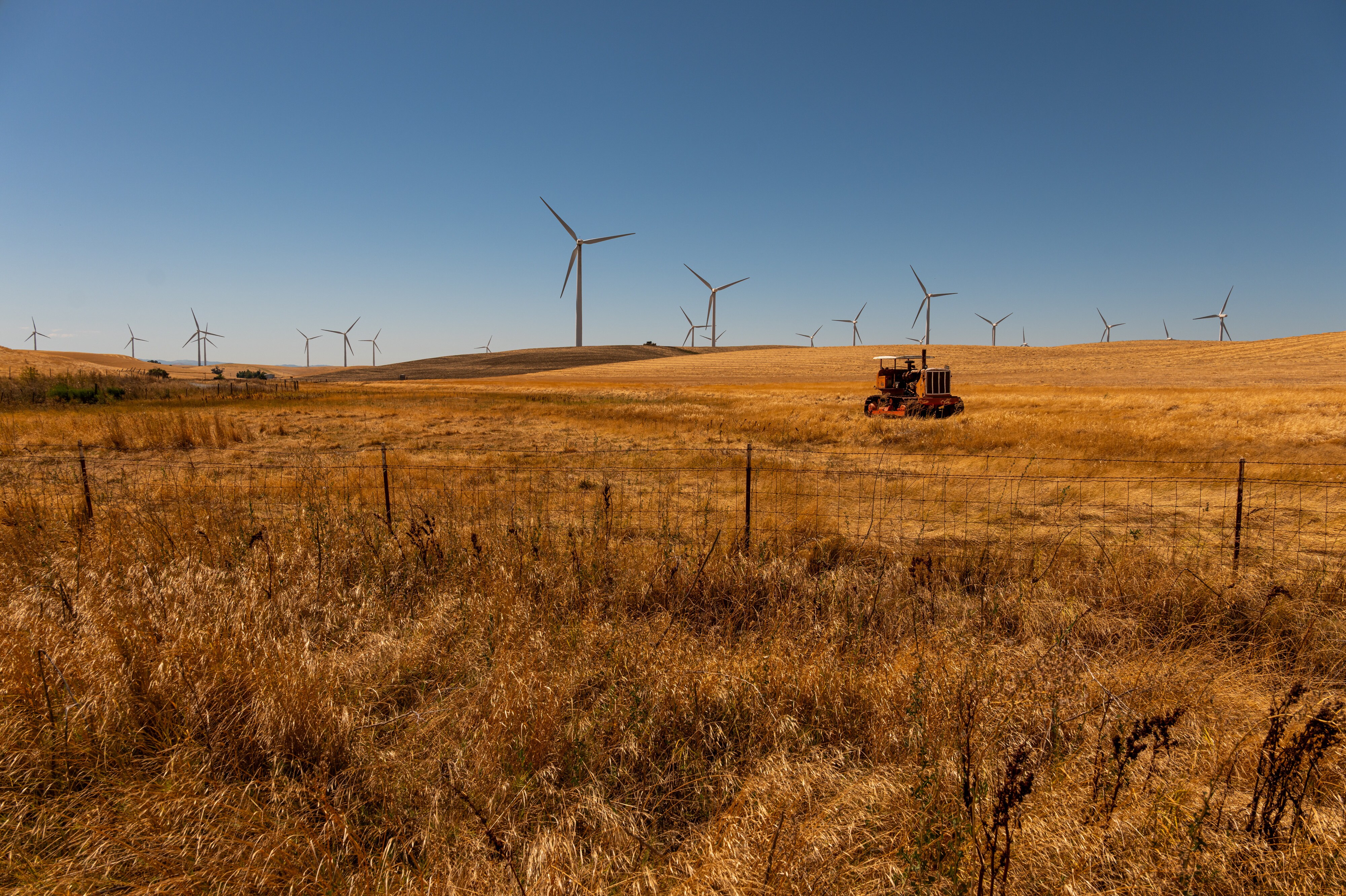 Trump Ban on Wind Energy Projects Ruled Illegal By US Judge