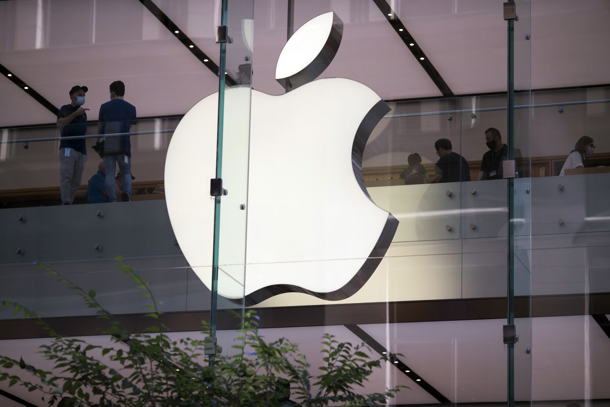 Apple Hits Record High While Big Tech Stocks Rally